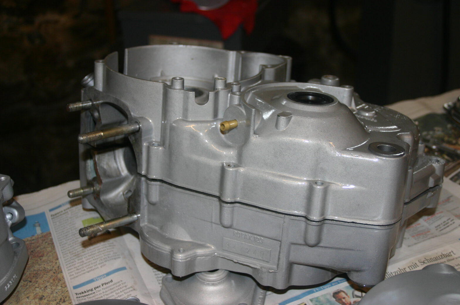 Differences between Rotax 122 and 123 (Aprilia RS 125) | Hartrusion